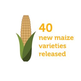 SIMLESA – Sustainable Intensiﬁcation of Maize-Legume Cropping Systems ...