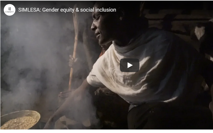 Video How Gender Equity And Social Inclusion Are Improving The Lives